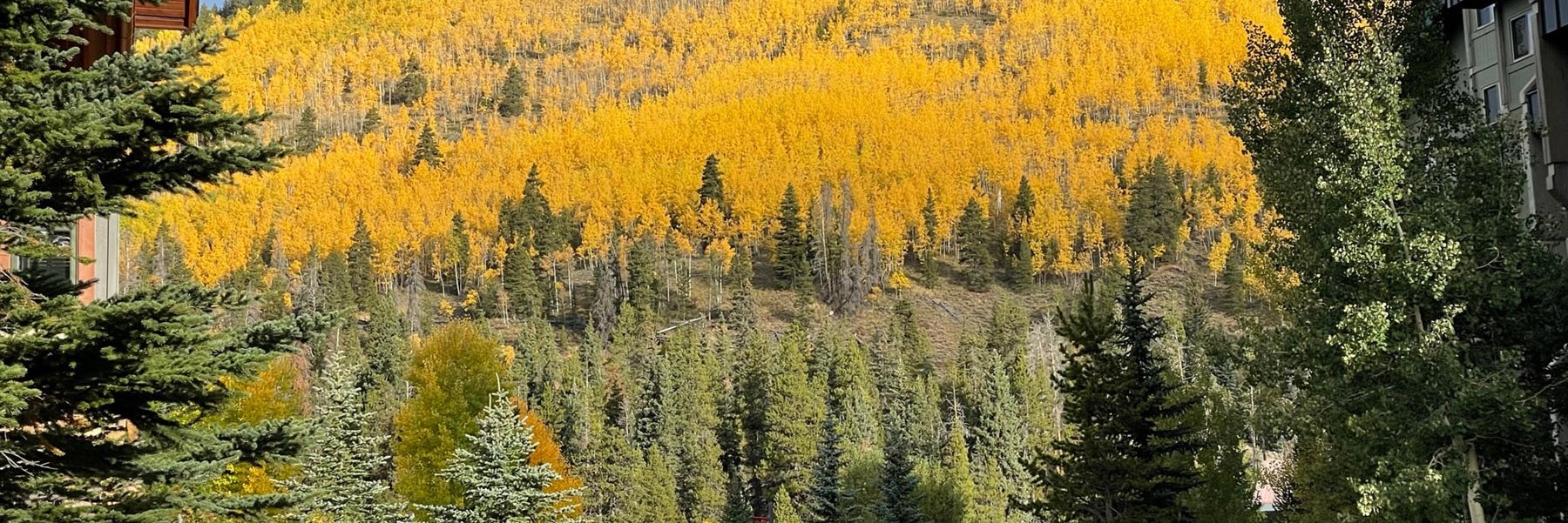 Copper Mountain Vacations | Element 29 Hotel